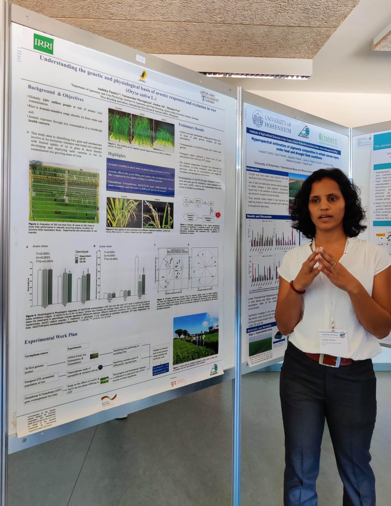 Dealing with Abiotic Stress in Crops, Insights from Tropentag 2023 ...